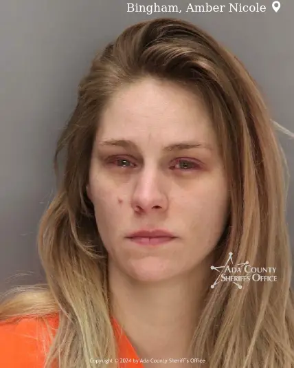 Amber Bingham booked for Controlled Substance-Possession of | I37-2732 ...