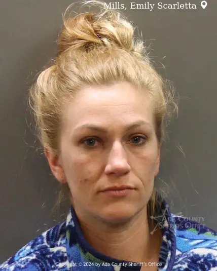 Emily Mills booked for Theft-Petit Theft | I18-2403(1)M