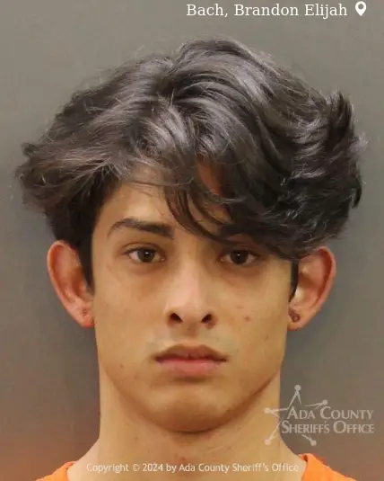 Brandon Bach booked for