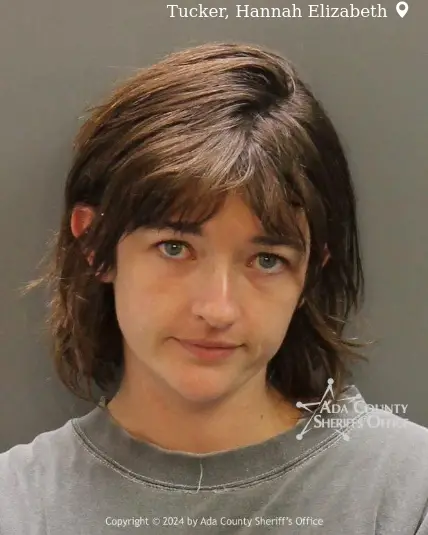 Hannah Tucker booked for Arrests & Seizures-Resisting or Obstructing Officers | I18-705