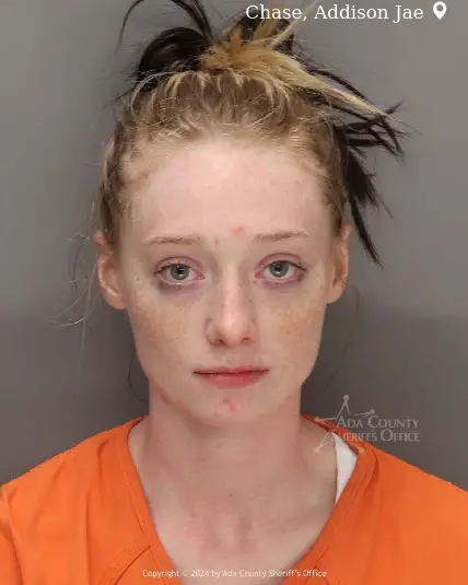 Addison Chase booked for Controlled Substance-Possession of | I37-2732 ...