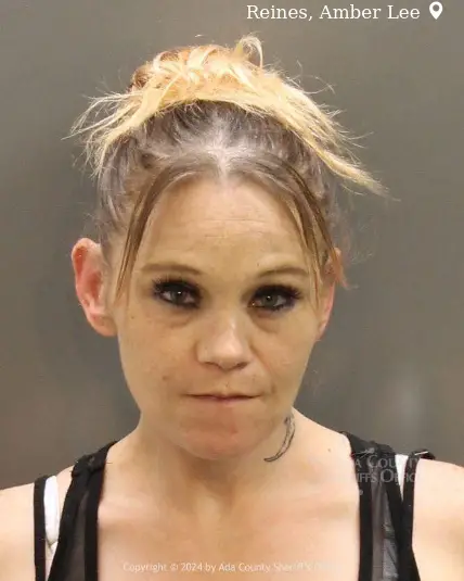 Amber Reines booked for Driving Under the Influence | I18-8004(1)(a)M