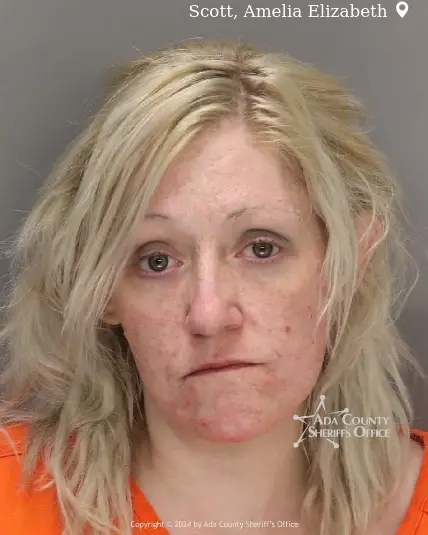 Amelia Scott - Boise Busted