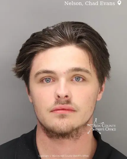 Chad Nelson booked for Failure to Appear (No New Offense) - MD | MFTA