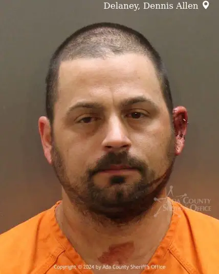 Dennis Delaney booked for Strangulation (Attempted) | I18-923