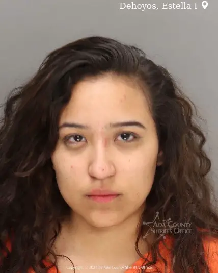 Estella Dehoyos booked for Pedestrian-Under the Influence of Alcohol or ...
