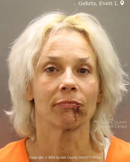 Evett Gehrts booked for Battery-Aggravated | I18-907