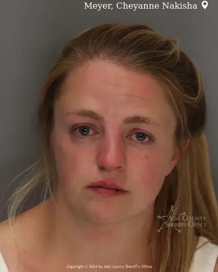 Cheyanne Meyer booked for Public Intoxication | M807-5-2-4