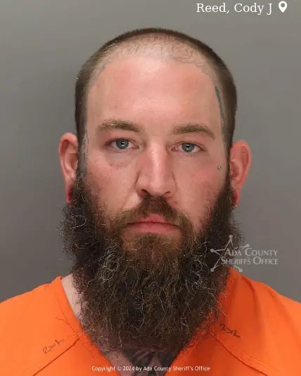Cody Reed booked for Fraud-Criminal Possession of a Financial ...