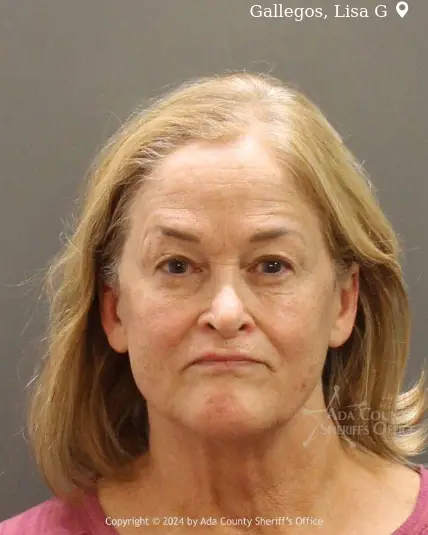 Lisa Gallegos booked for Property-Malicious Injury to Property | I18 ...