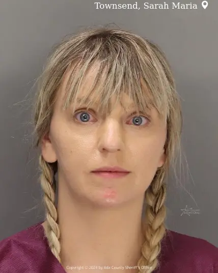 Sarah Townsend booked for Arrests & Seizures-Resisting or Obstructing ...