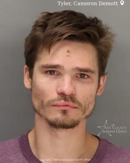 Cameron Tyler booked for Battery-Domestic Violence with Traumatic ...