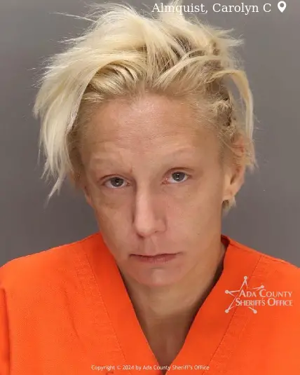 Carolyn Almquist booked for Battery on a Law Enforcement Officer | I18 ...