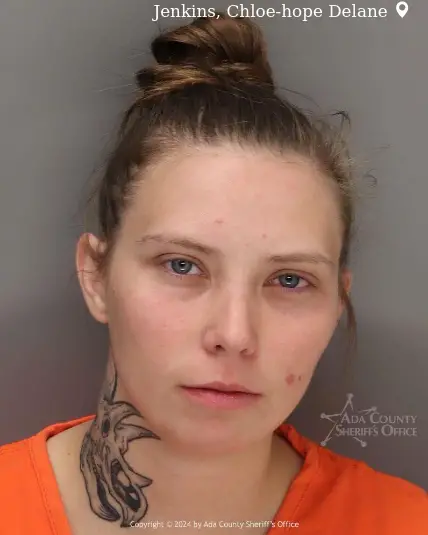 Chloe-hope Jenkins booked for Property-Malicious Injury to Property ...