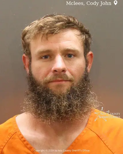 Cody Mclees booked for Burglary | I18-1401