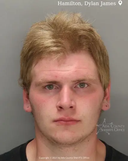 Dylan Hamilton booked for