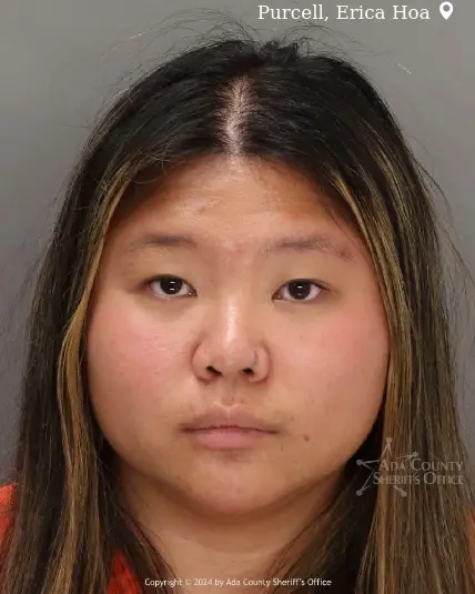 Erica Purcell booked for Theft-Grand | I18-2403(1)F