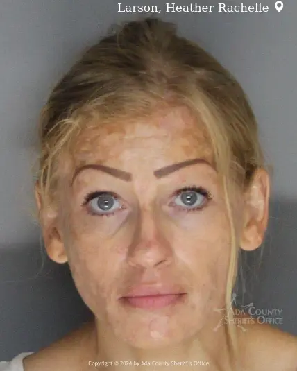 Heather Larson booked for Failure to Appear (No New Offense) - MD | MFTA