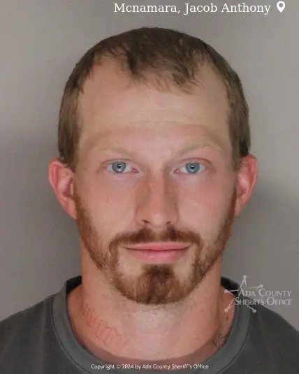 Jacob Mcnamara booked for Probation Violation - MD | MPV