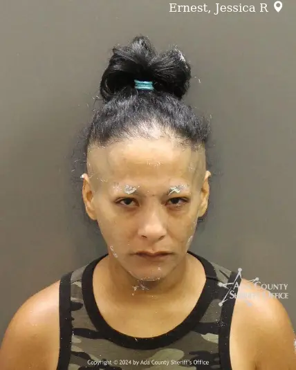 Boise Busted - Ada County Mugshots