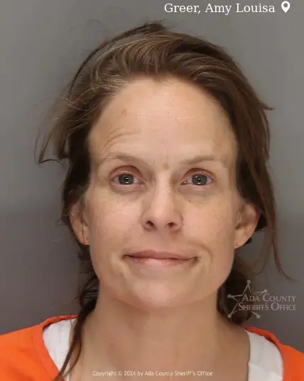 Amy Greer booked for Officer-Flee or Attempt to Elude a Police Officer ...
