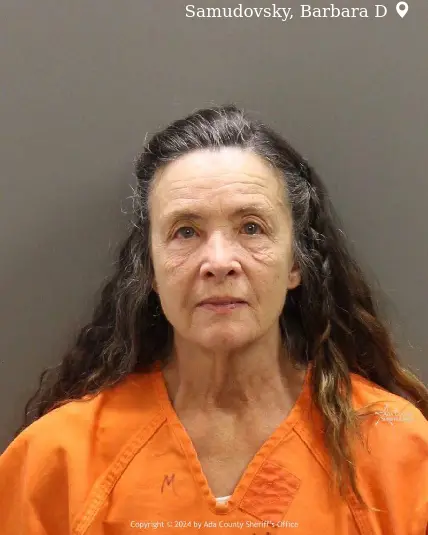 Barbara Samudovsky booked for Driving Under the Influence - Excessive ...