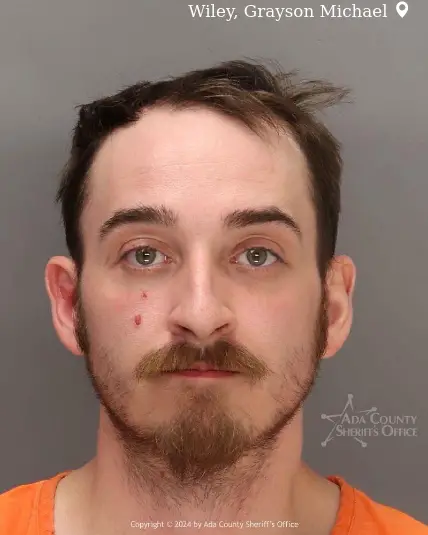 Grayson Wiley booked for Controlled Substance-Possession of | I37-2732 ...