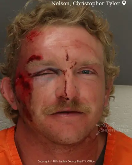 Christopher Nelson booked for Driving Under the Influence-(Second Offense Within 10 Years) | I18 ...