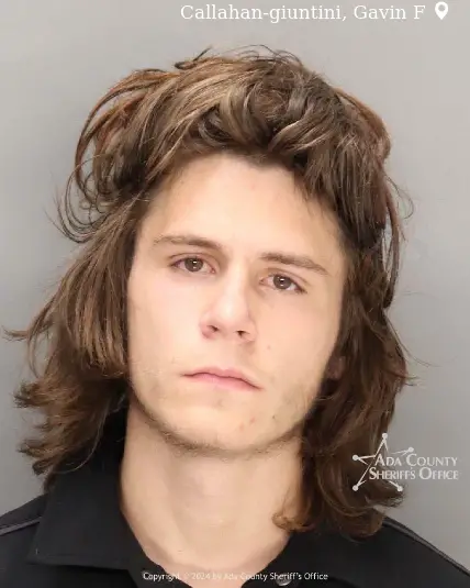 Gavin Callahan-giuntini booked for Arrests & Seizures-Resisting or ...