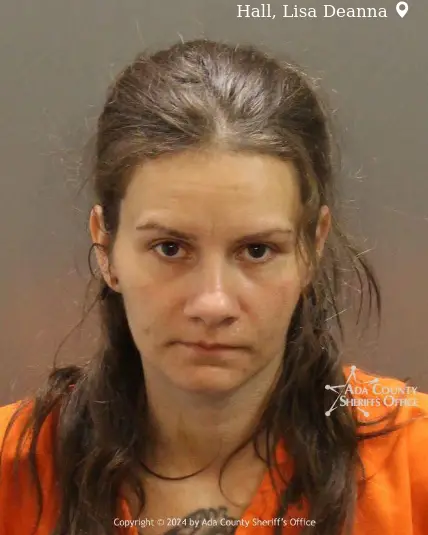 Lisa Hall booked for Controlled Substance-Possession of | I37-2732(c)(1)F
