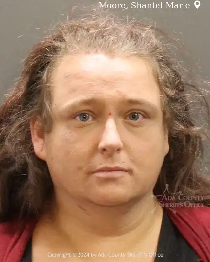 Shantel Moore booked for Lottery-Counterfeit, Previously Paid ...