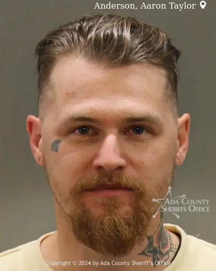 Aaron Anderson booked for Driving Without Privileges | I18-8001(1)(a)