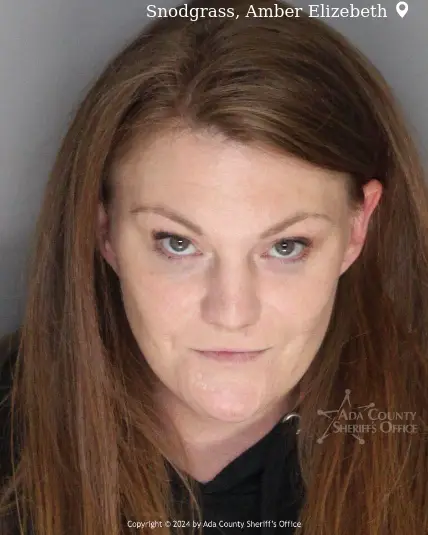 Amber Snodgrass booked for Failure to Appear (No New Offense) - MD | MFTA