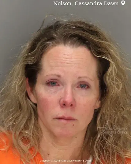 Cassandra Nelson booked for Driving Under the Influence Excessive ...