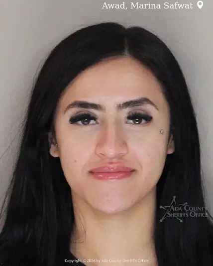 Marina Awad booked for Probation Violation - MD | MPV