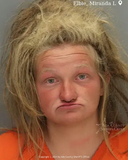 Miranda Elbie booked for Controlled Substance-Possession of | I37-2732 ...