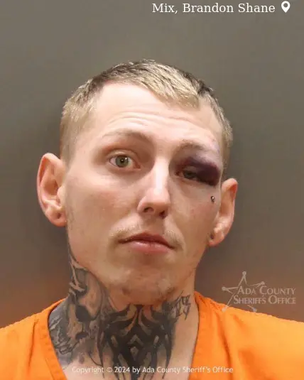 Brandon Mix booked for Domestic Battery | I18-918