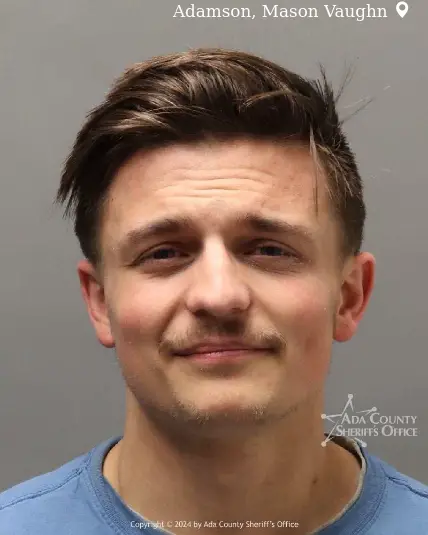 Mason Adamson booked for Theft-Petit Theft | I18-2403(1)M