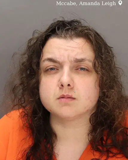 Amanda Mccabe booked for 1st Offense Trespass - Failure to Depart | I18 ...