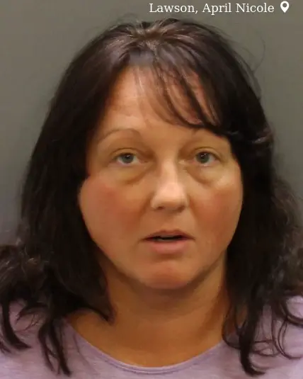 April Lawson booked for Grand Theft by Receiving, Possessing or ...