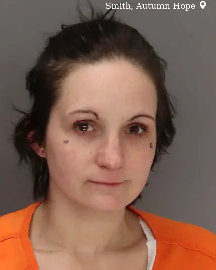 Arrested Archives - Boise Busted