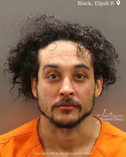 Elijah Black booked for Failure to Appear (No New Offense) - MD | MFTA