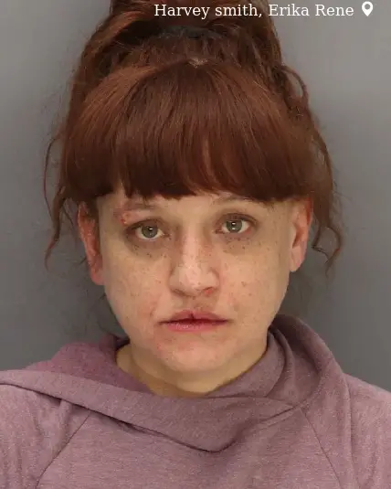 Erika Harvey-smith booked for Theft-Petit Theft | I18-2403(1)M