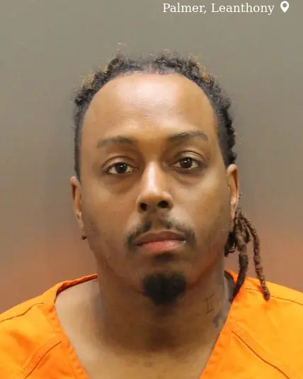 Leanthony Palmer booked for Unlawful Possession of Firearm by Convicted Felon | I18-3316