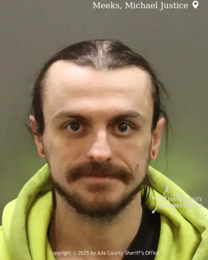 Michael Meeks booked for Domestic Violence-Violation of Protection ...