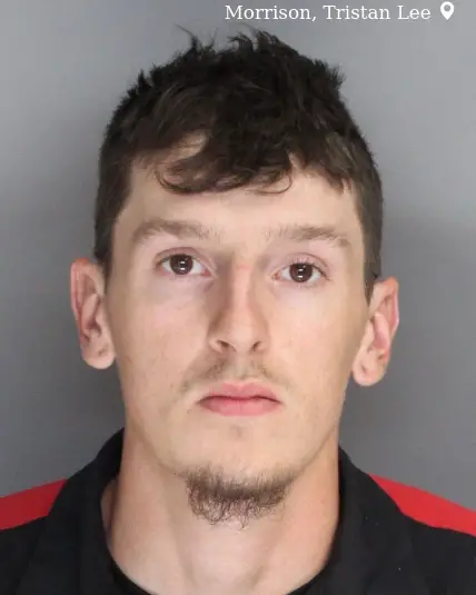 Tristan Morrison booked for Controlled Substance-Possession of | I37-2732(c)(1)F