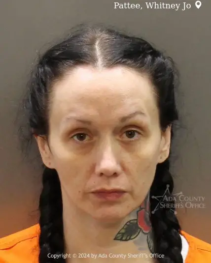 Whitney Pattee booked for Escape-By One Charged, Convicted of or On ...