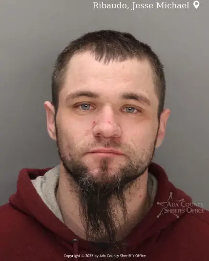 Jesse Ribaudo booked for Failure to Appear for Misdemeanor Citation ...