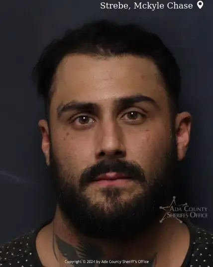 Mckyle Strebe booked for Driving Without Privileges | I18-8001(1)(a)