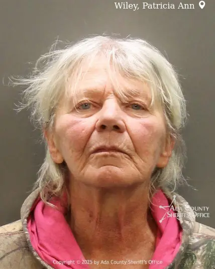 Patricia Wiley booked for Driving Under the Influence | I18-8004(1)(a)M